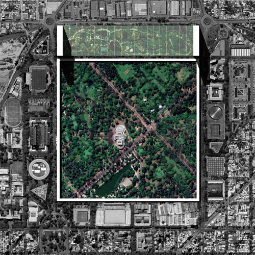 A Form for the forest - The Best New Architects