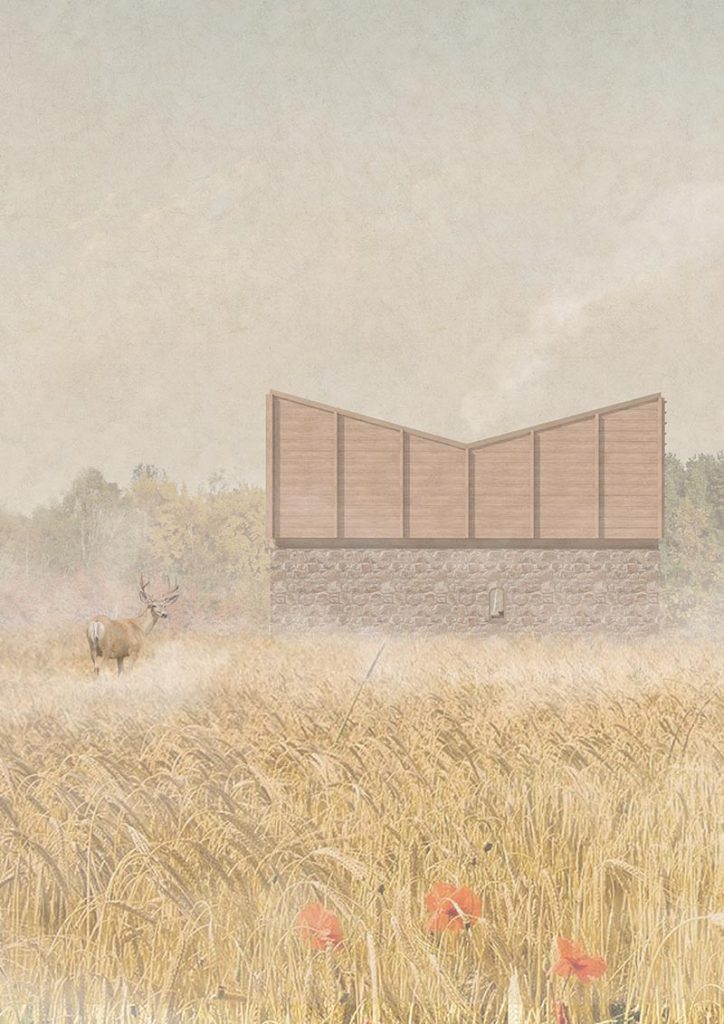 T - House - The Best New Architects