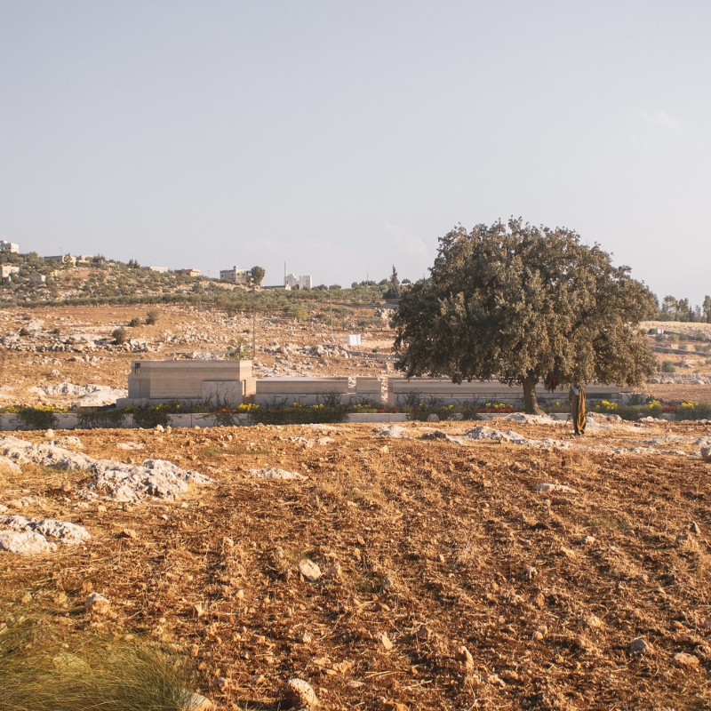 Zabda - The Best New Architects