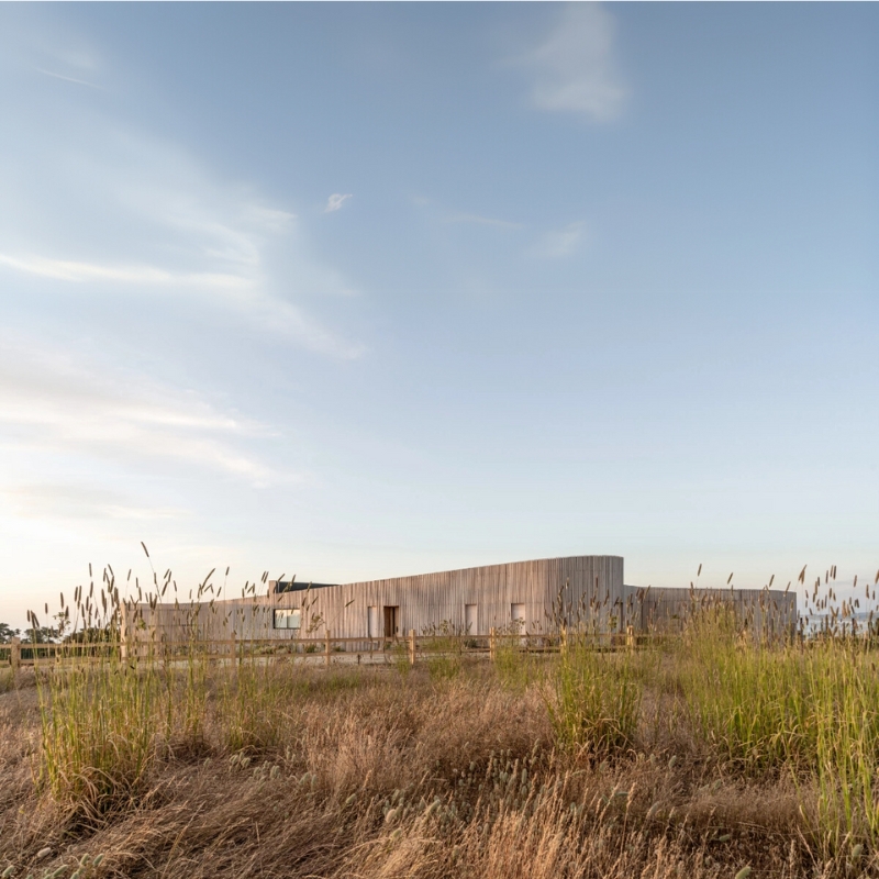 Wind House - The Best New Architects